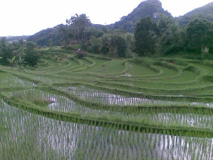 Shair Saudara Boyan: Menyingkap Sejarah Masyarakat Bawean